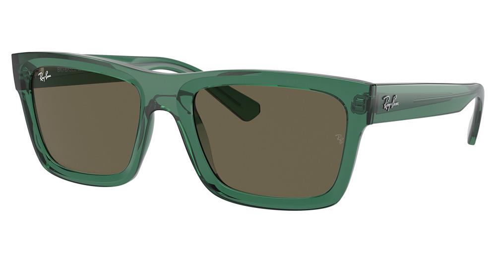 RB4396F WARREN - Kaiser Permanente Vision Essentials